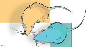 Stressed mice