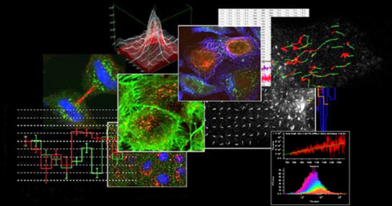 Intelligent Software Solutions to Better Understand Biological ...